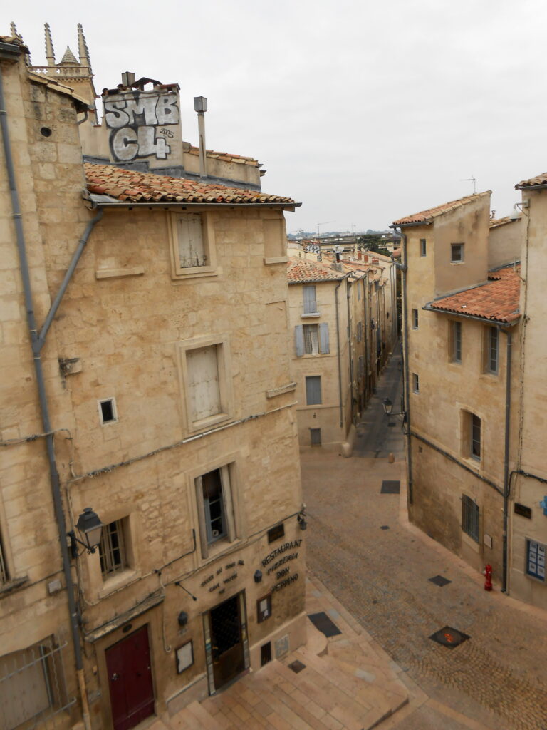 Plan de l’Écusson le centre historique de Montpellier