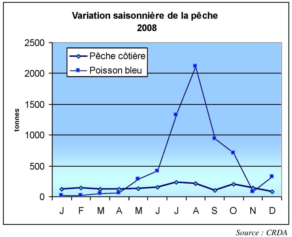 La pêche dans le gouvernorat de Gabès
